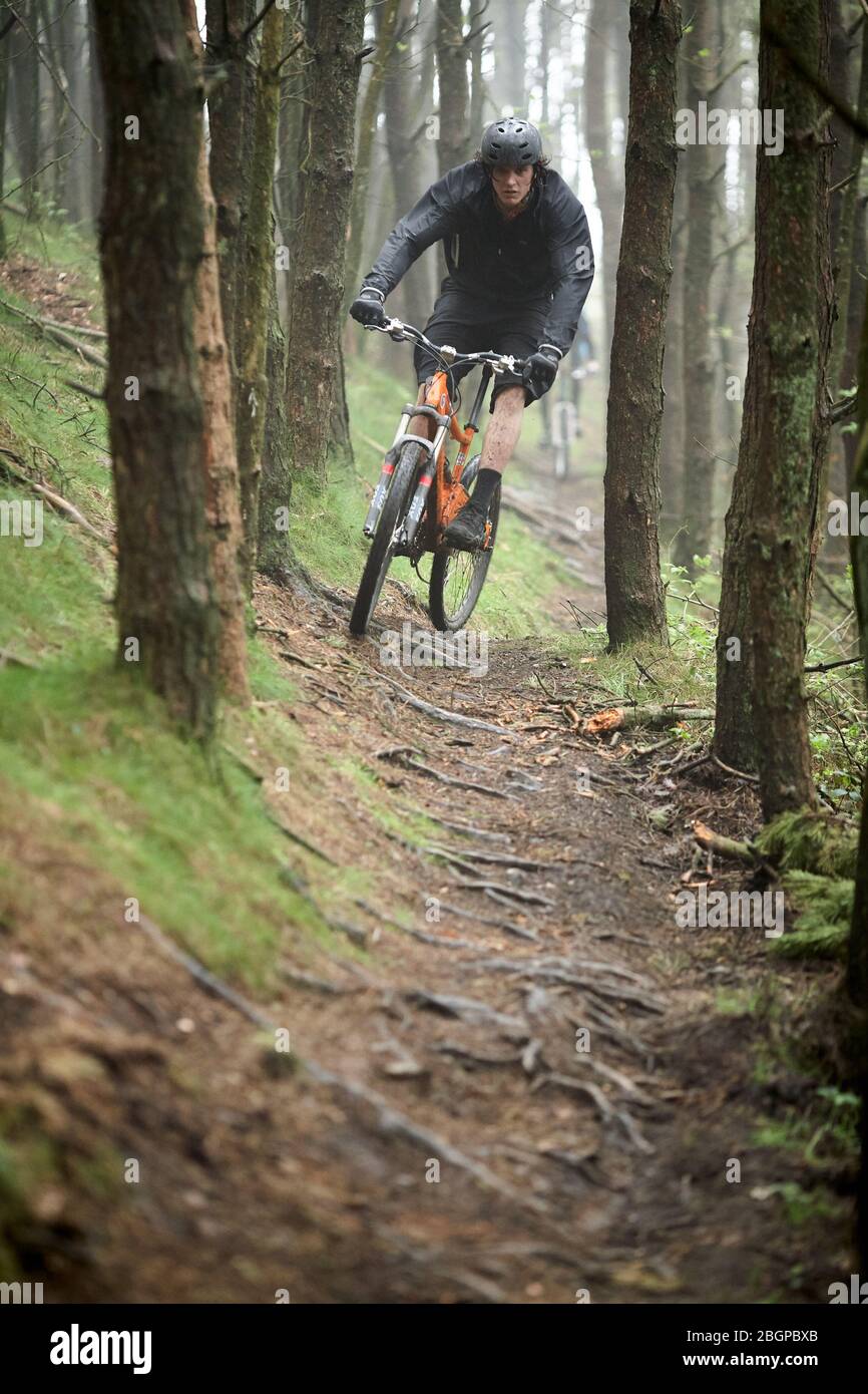 Mountain Biking in South Wales in the rain Stock Photo - Alamy