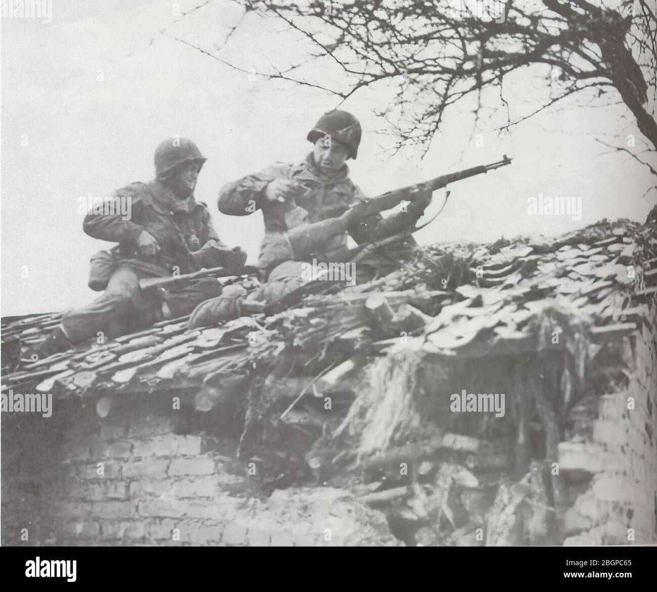 Volksgrenadier hi-res stock photography and images - Alamy