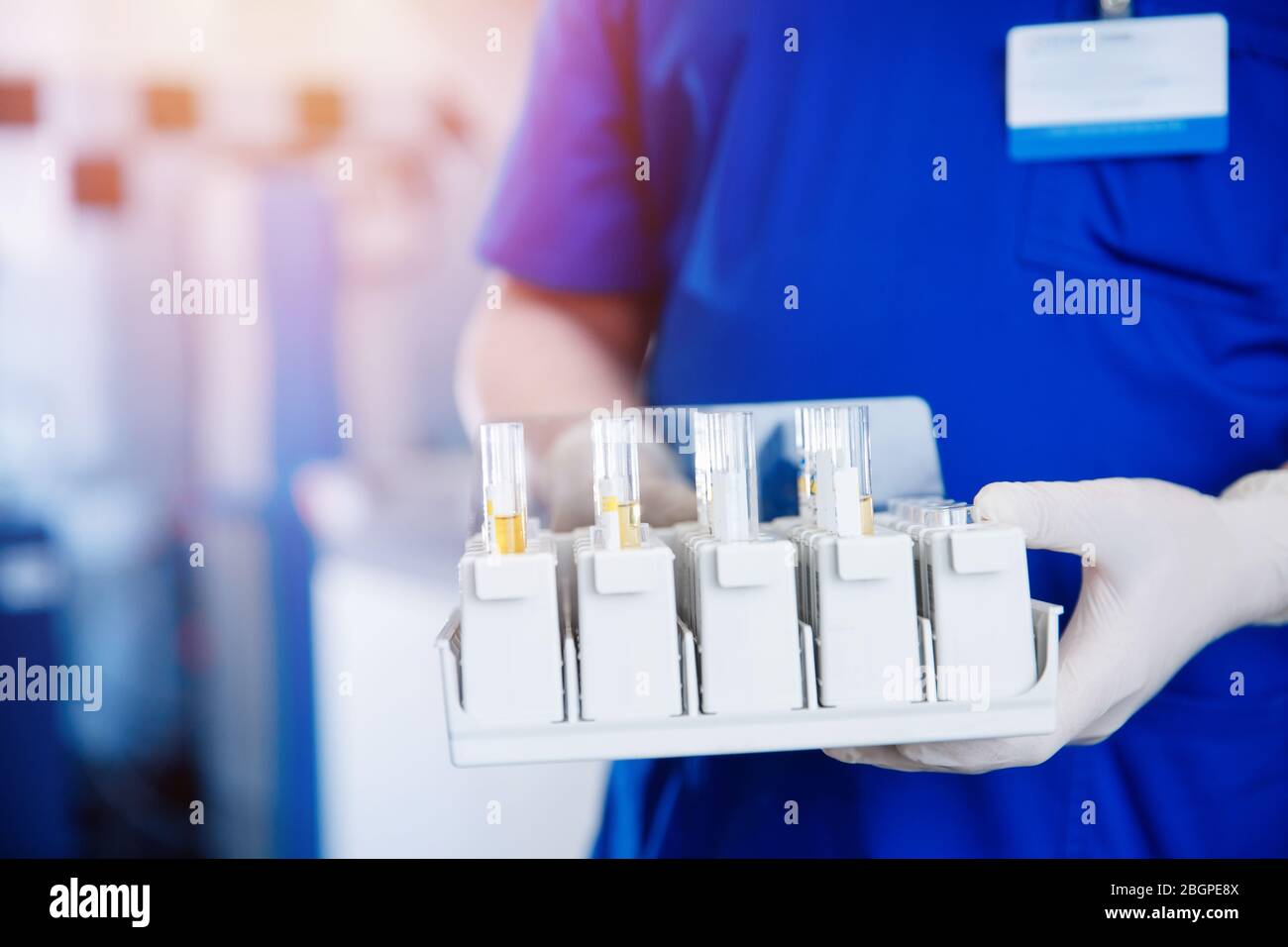 Bioengineer holds test tubes of blood samples for DNA analysis and ...