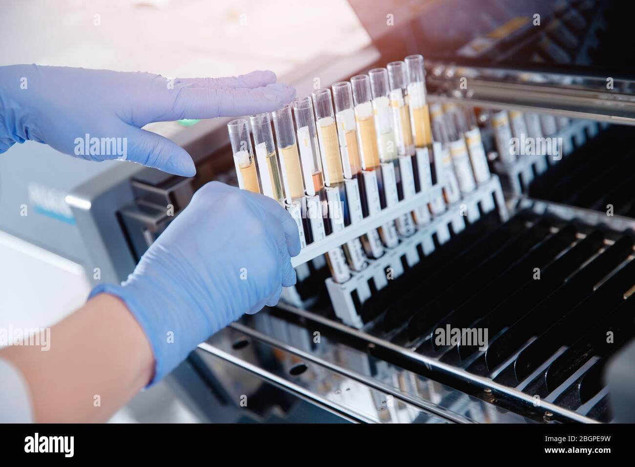 Human cloning hi-res stock photography and images - Alamy