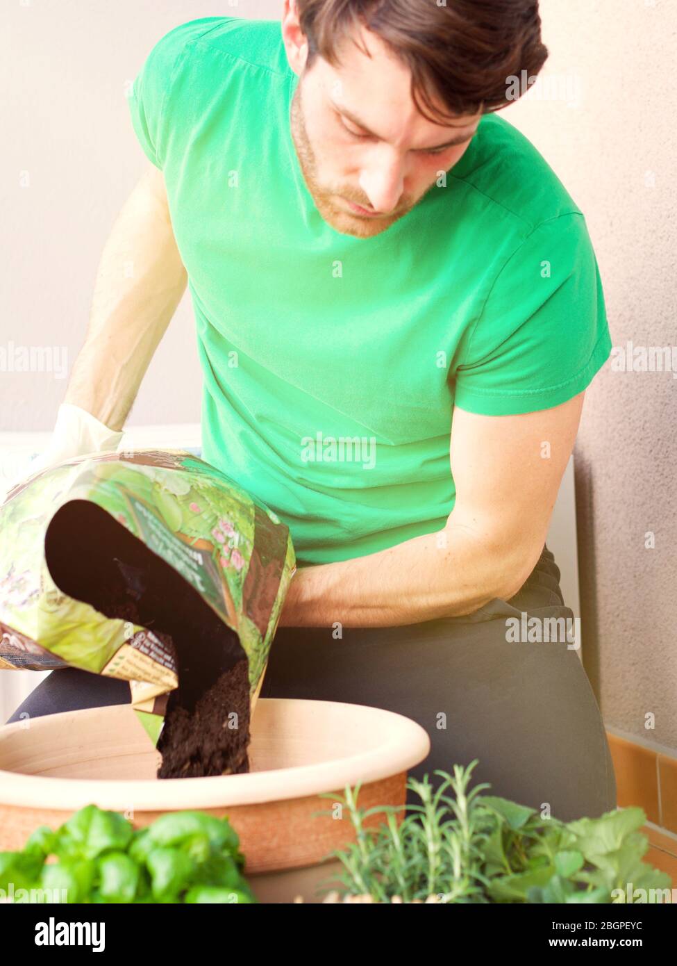 Terrace aromatic plants man hi-res stock photography and images - Alamy