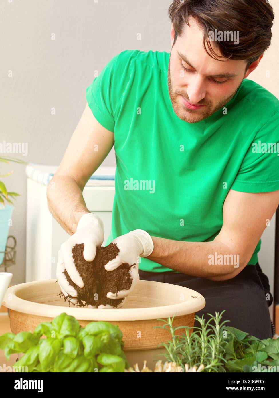 Terrace aromatic plants man hi-res stock photography and images - Alamy