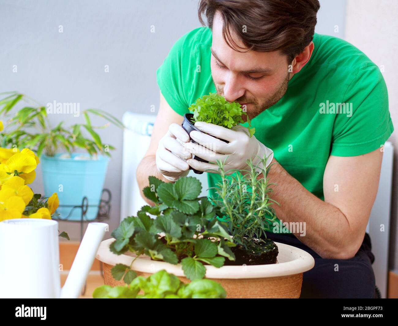 Balcony of aromatic plants man hi-res stock photography and images - Alamy