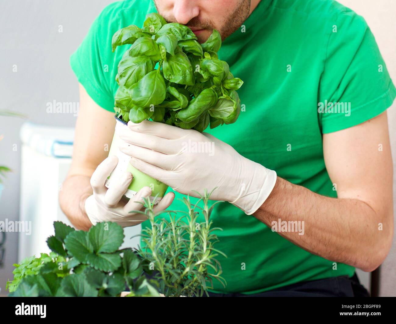Terrace aromatic plants man hi-res stock photography and images - Alamy