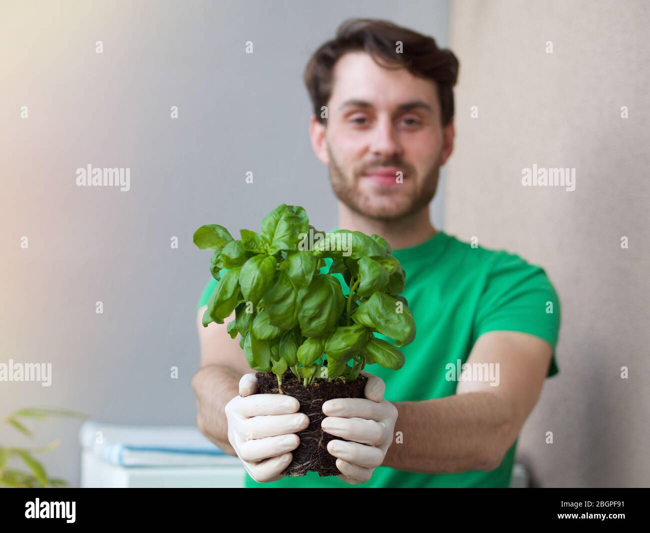 Terrace aromatic plants man hi-res stock photography and images - Alamy