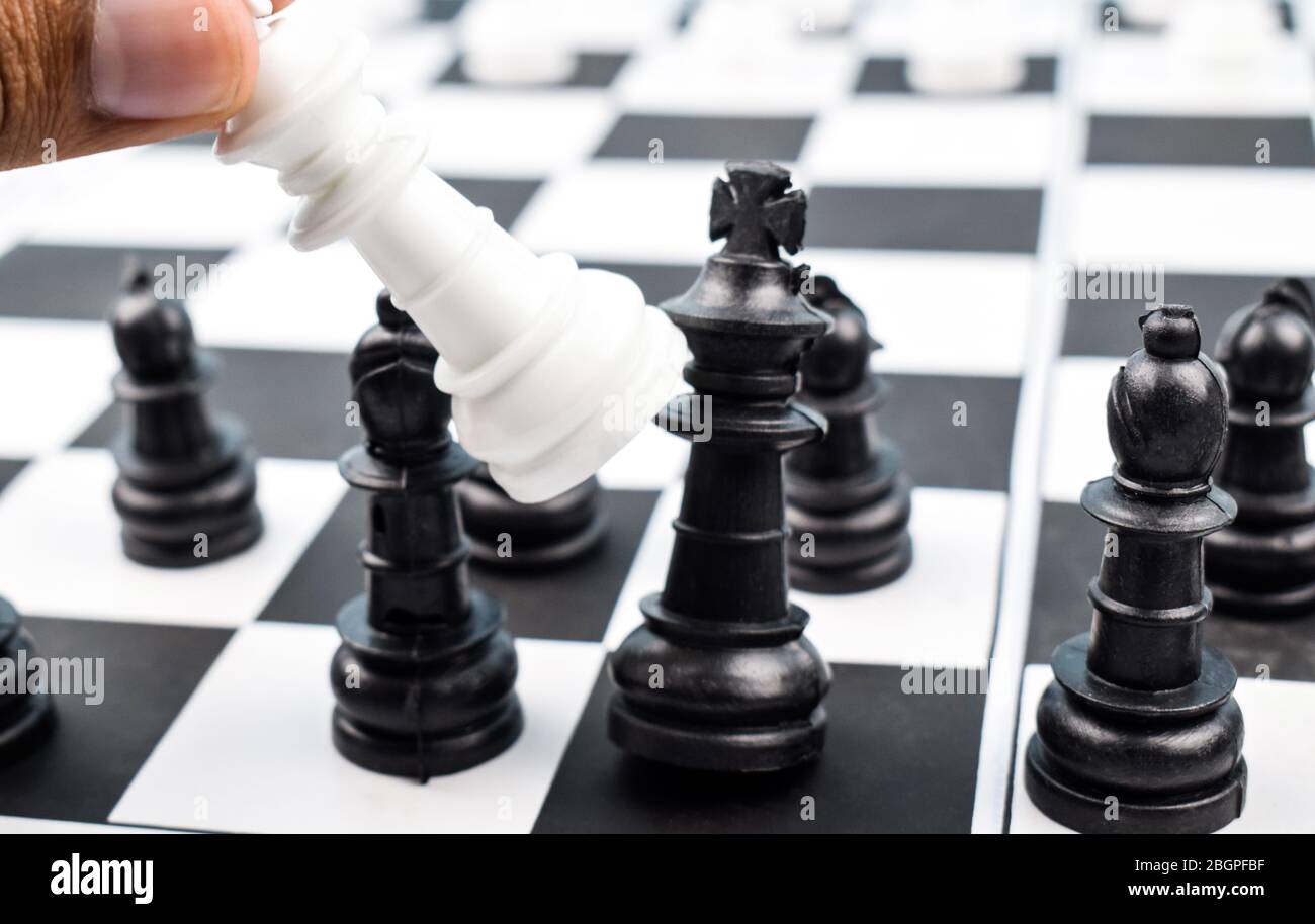 Fake brain hi-res stock photography and images - Alamy