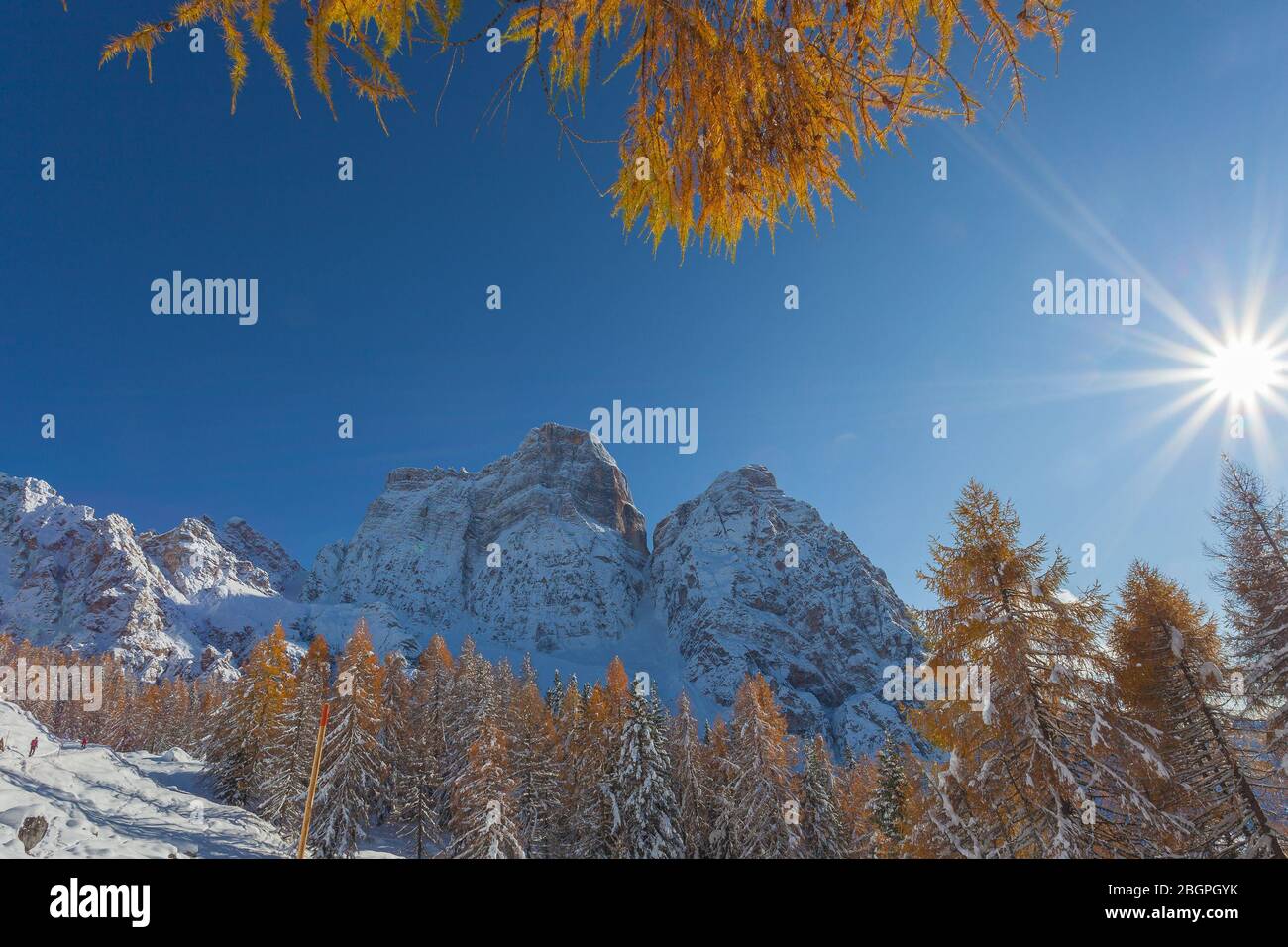 Sun in the middle of orange larch braches with Mount Pelmo background ...