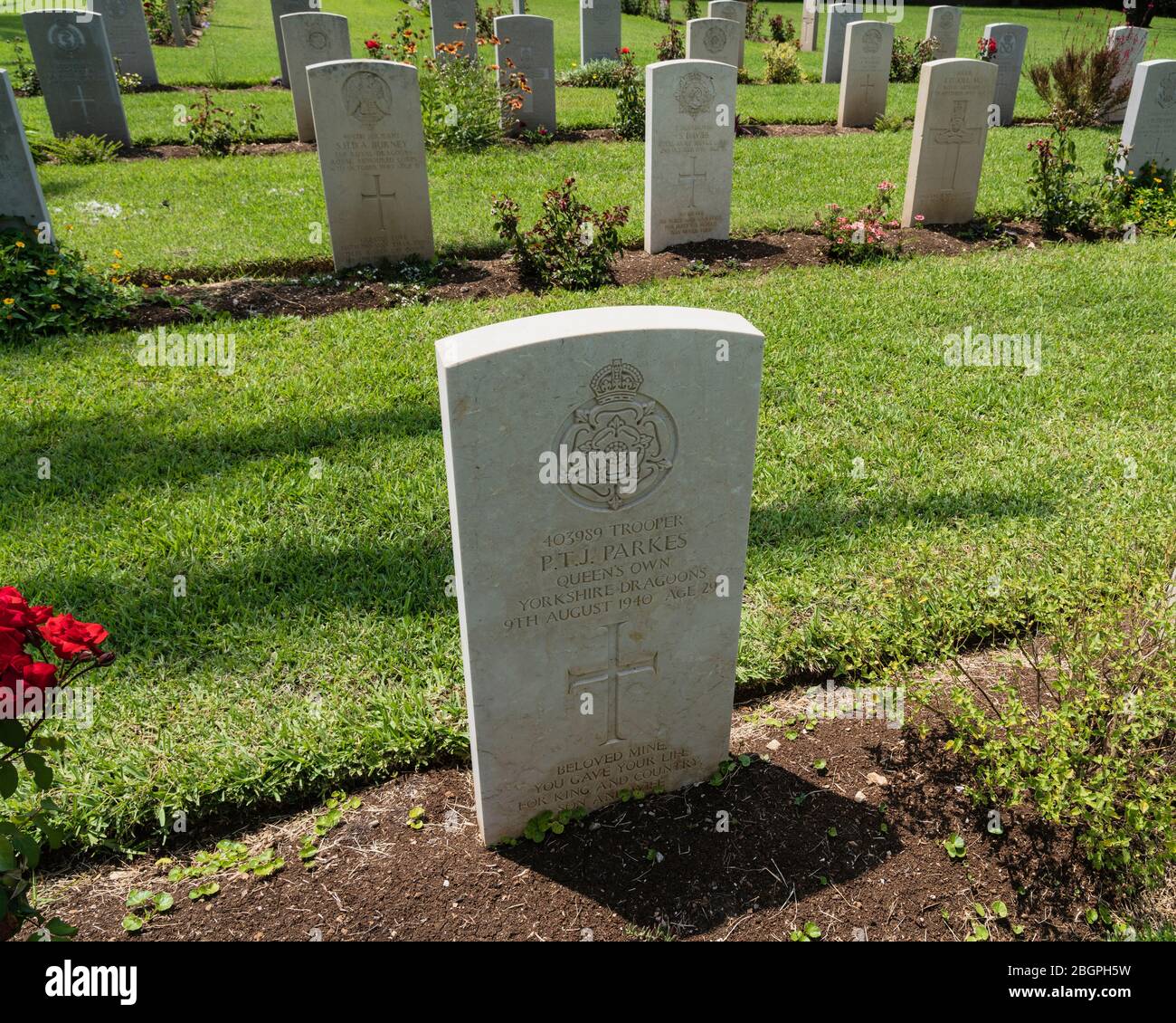 Israel, Haifa, British War Cemetery, The British War Cemeteryl, contains the graves of British ...