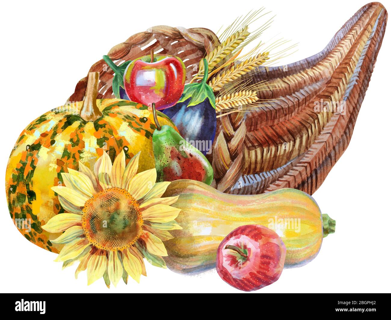 Watercolor cornucopia filled with vegetables and fruits on white ...