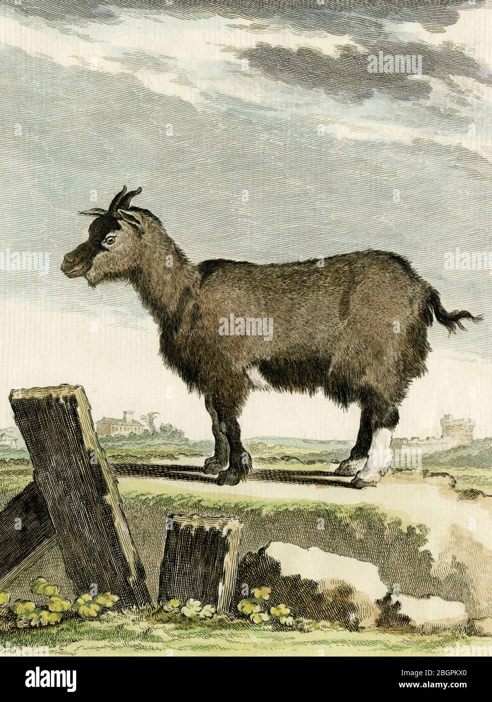 1700s drawing hi-res stock photography and images - Alamy