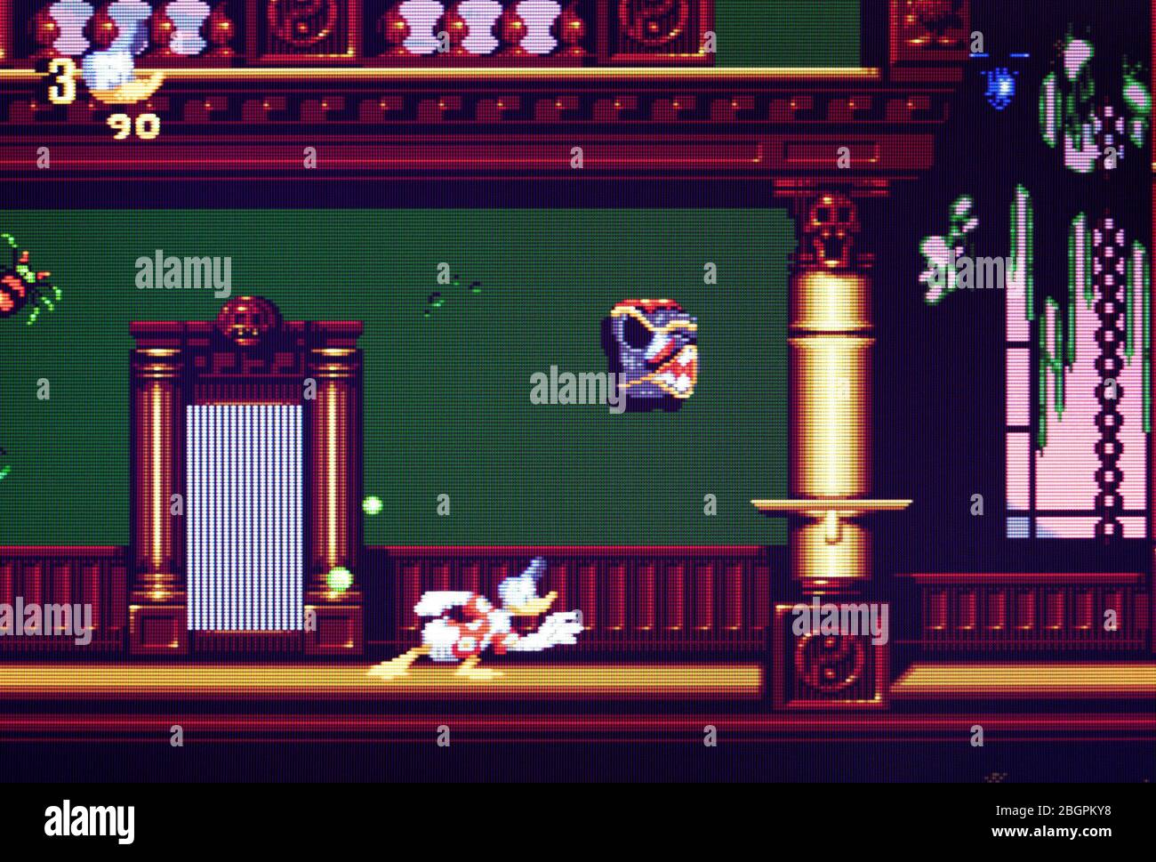 Donald mallard hi-res stock photography and images - Alamy