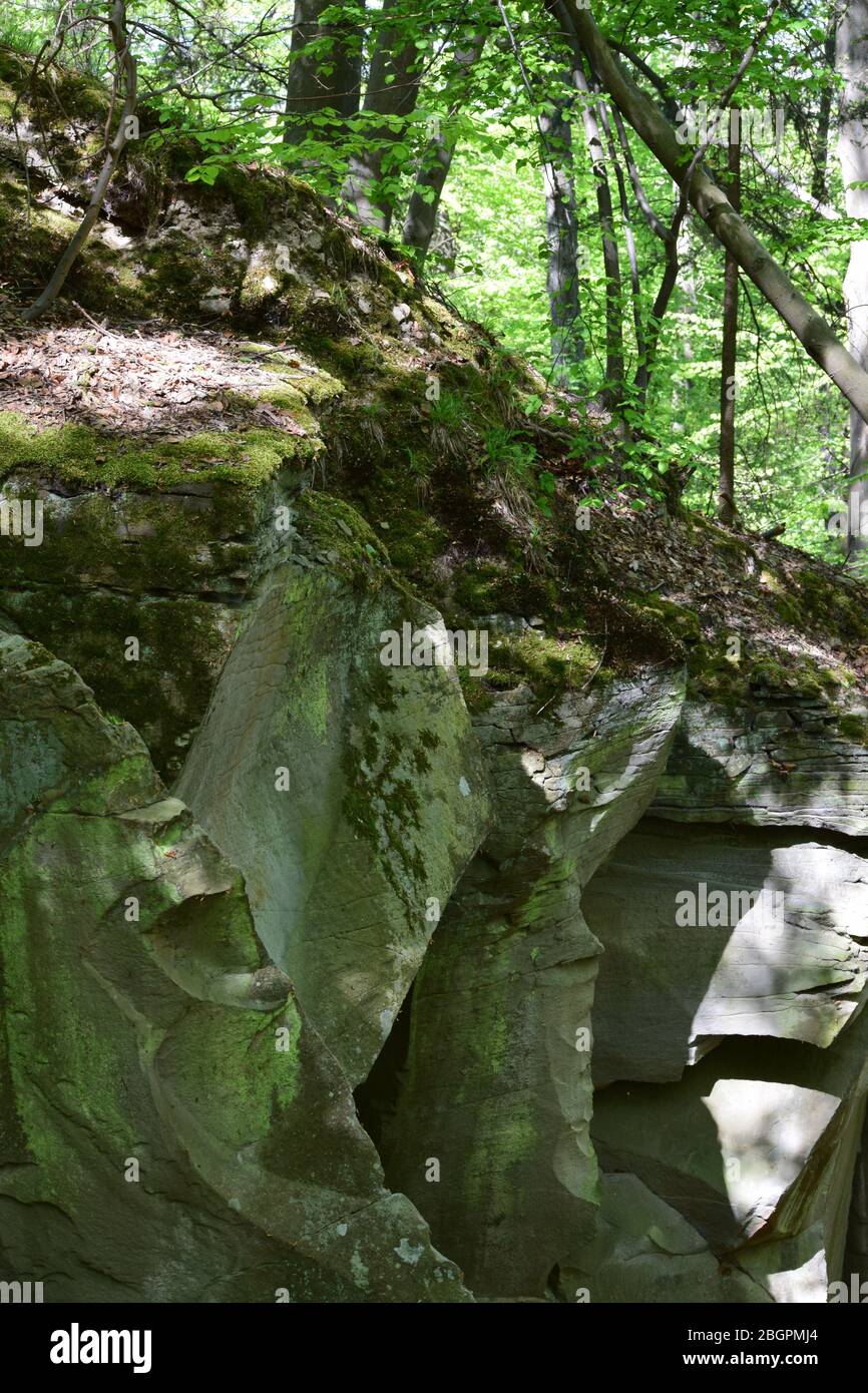 Reed sandstone hi-res stock photography and images - Alamy