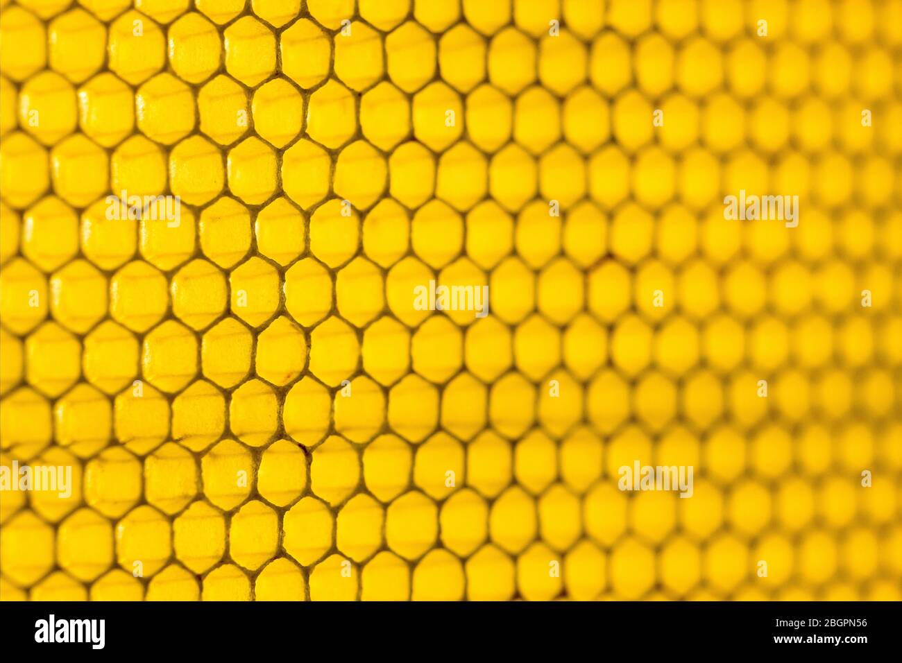 Hexagonal beehive pattern of a honeycomb divider Stock Photo - Alamy