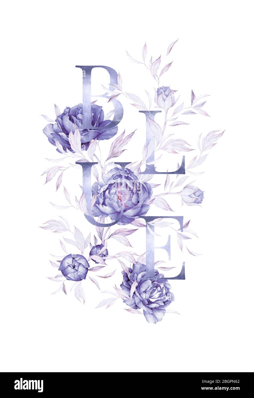 Floral composition. Blue Flowers. Light Blue Lush Leaves. Watercolor ...