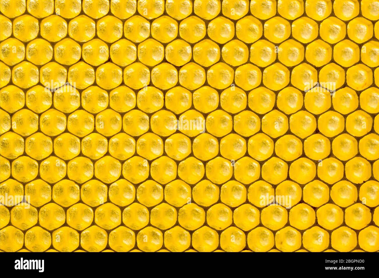 Hexagonal beehive pattern of a honeycomb divider Stock Photo - Alamy