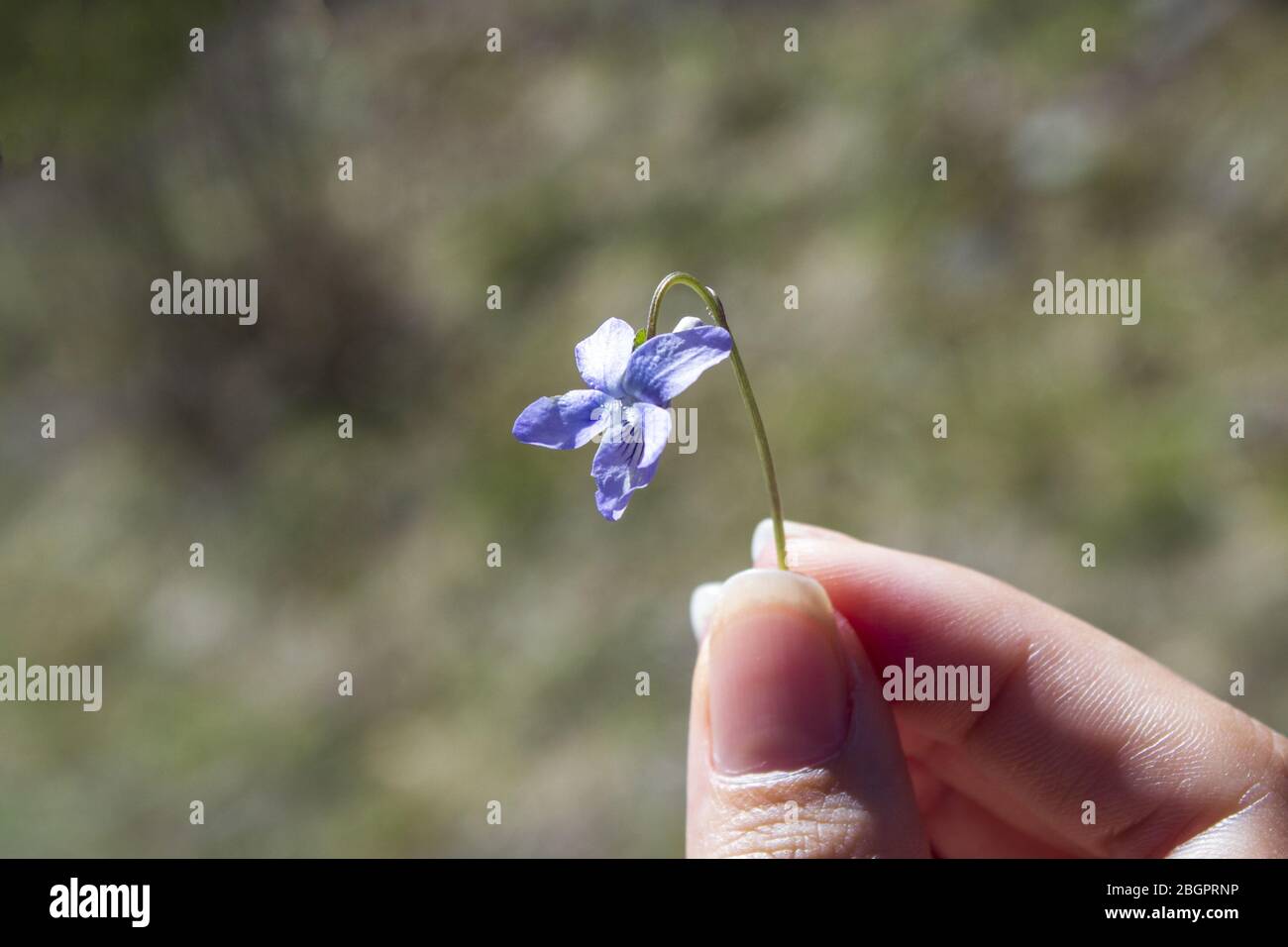 Fingers focus hi-res stock photography and images - Alamy