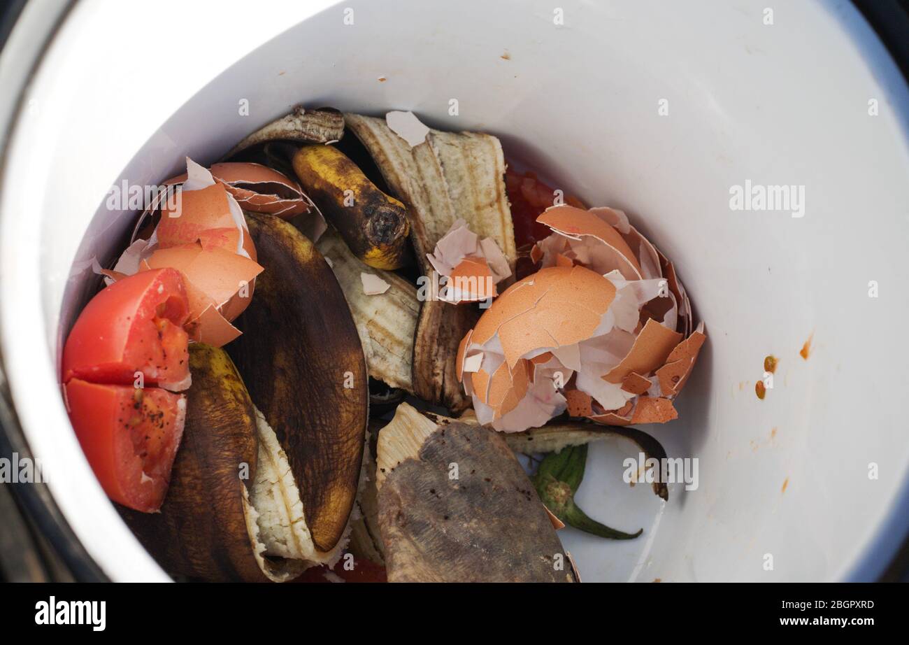 Egg shell compost hi-res stock photography and images - Alamy