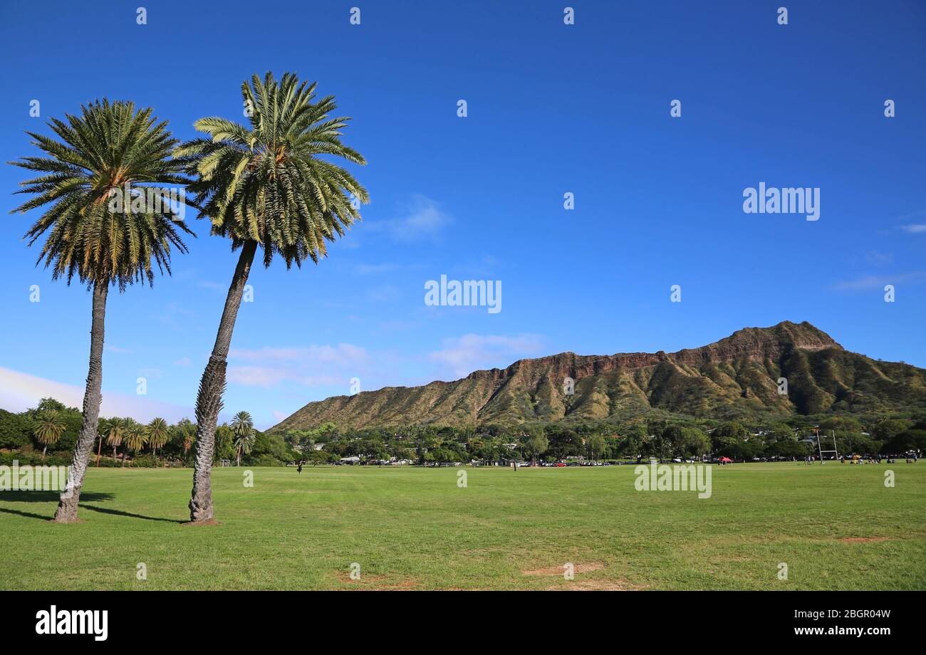 Two palm trees and Diamond head, Oahu, Hawaii Stock Photo - Alamy