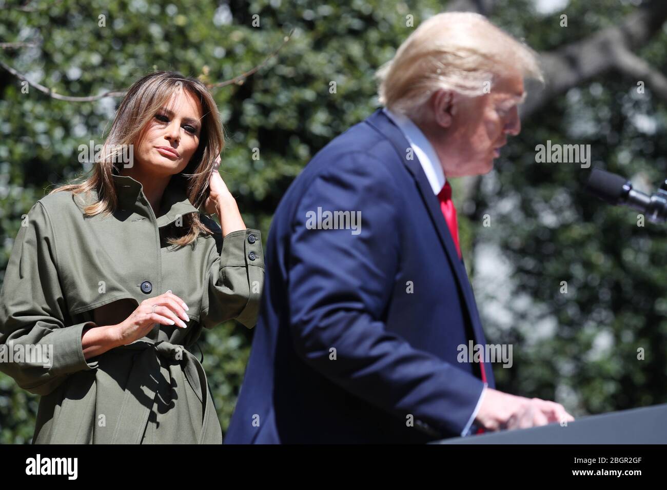 First tree planting hi-res stock photography and images - Alamy