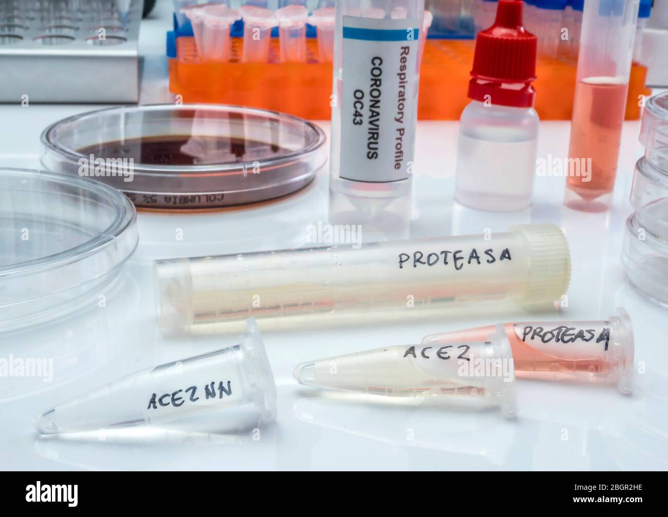 Enzyme structure hi-res stock photography and images - Alamy