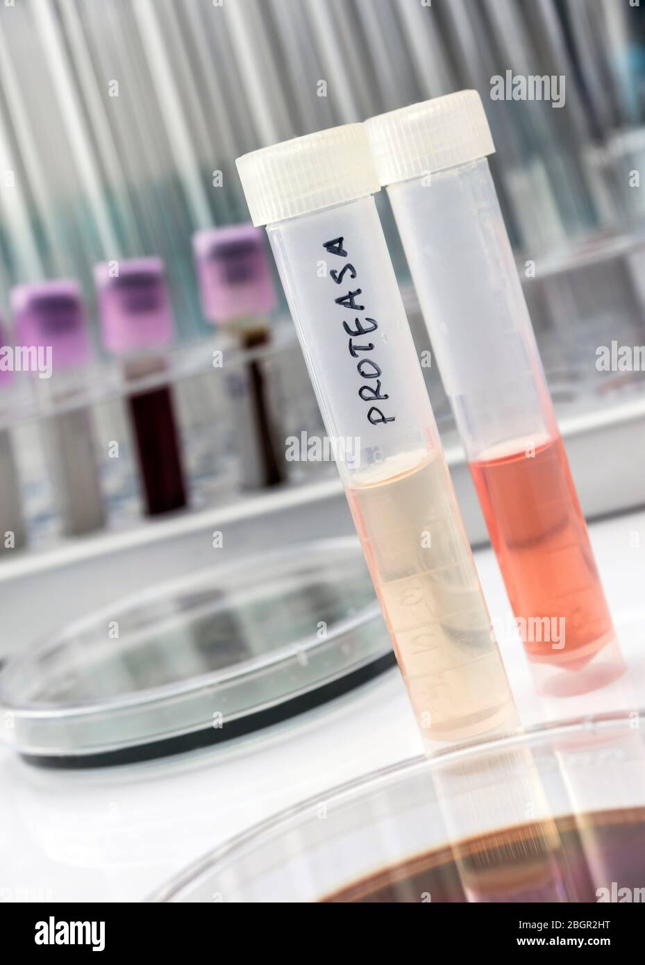 Severe acute respiratory system hi-res stock photography and images - Alamy