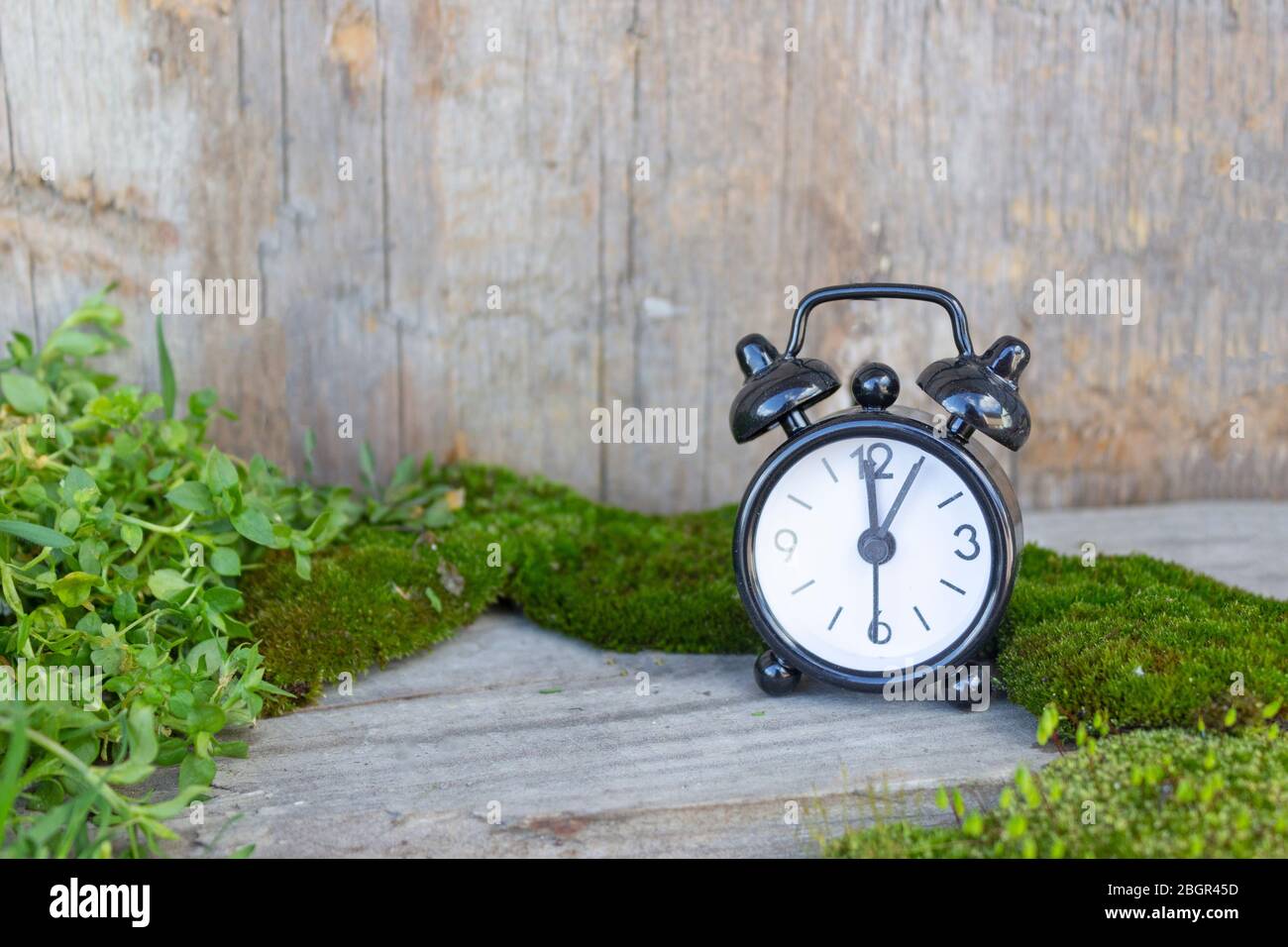 Black alarm clock, spring and summer time. Summer concept Stock Photo ...