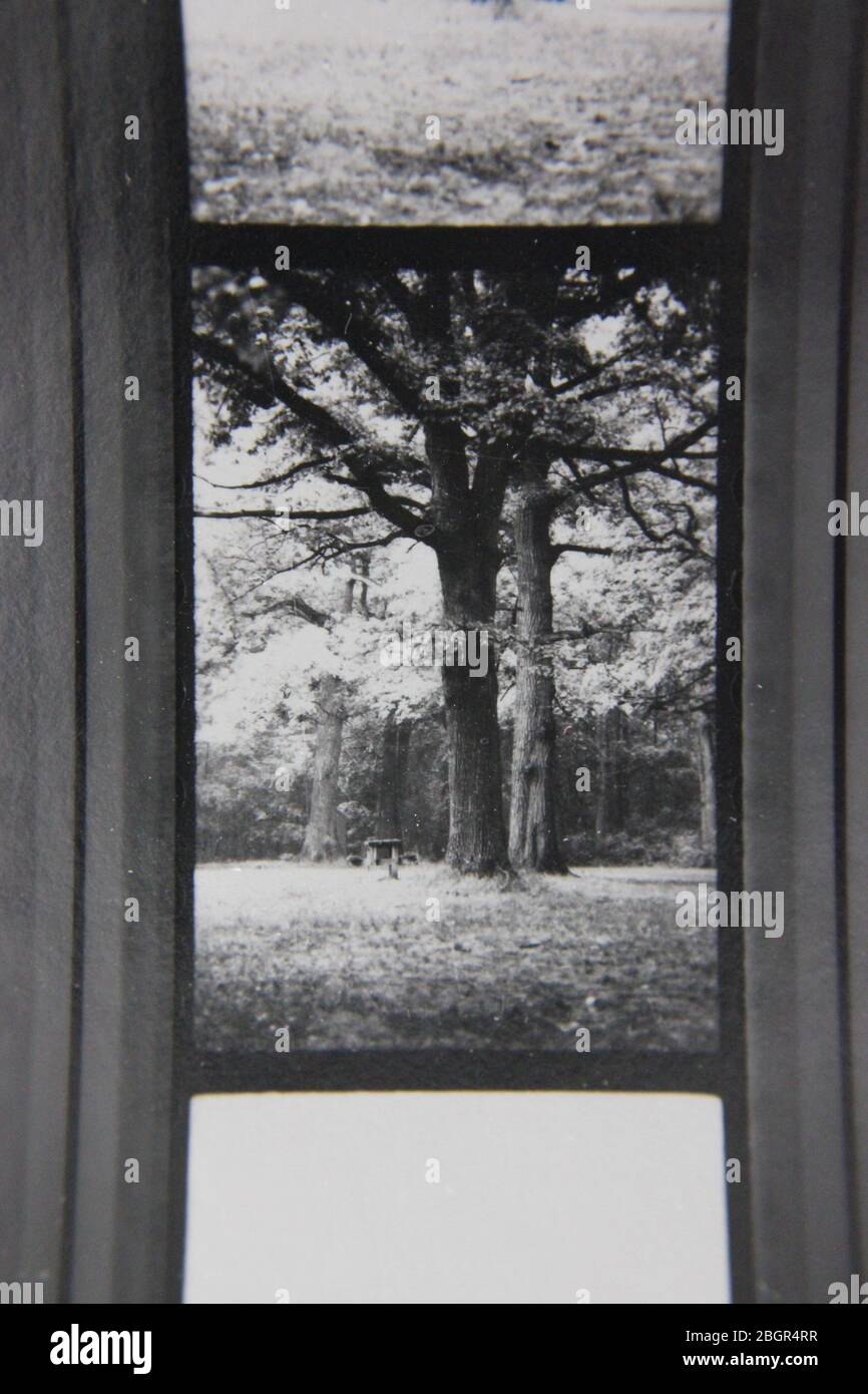 Fine 70s vintage extreme high contrast contact print photography of ...