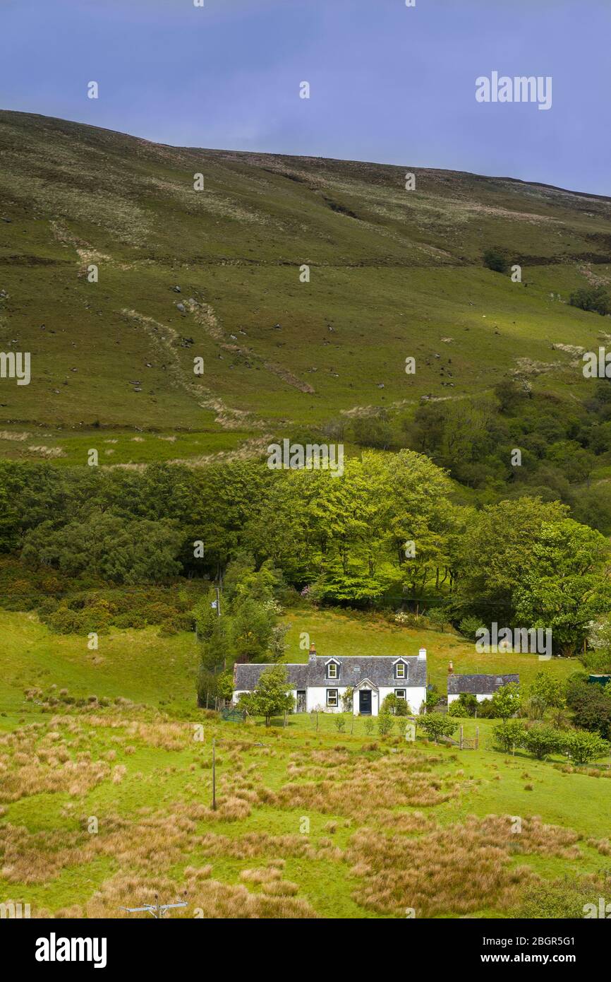 Scottish rural scenery hi-res stock photography and images - Alamy