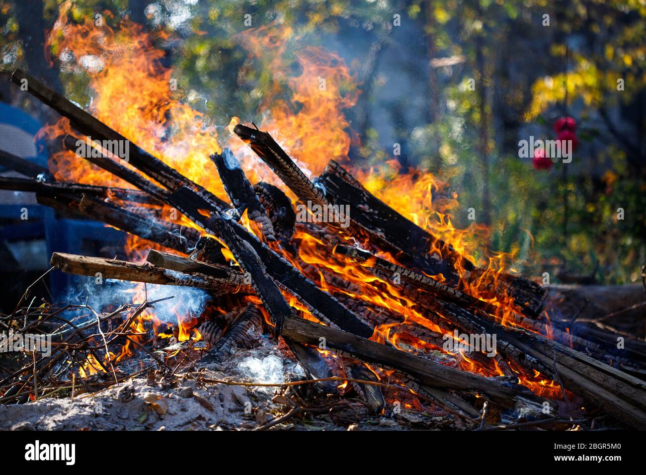 Big bonfire made of boards. Beautiful fire Stock Photo - Alamy