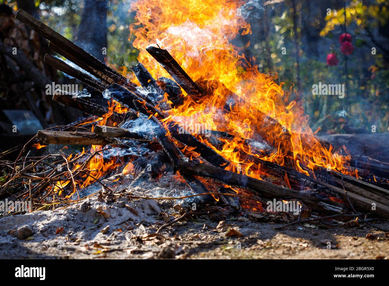 Big bonfire made of boards. Beautiful fire Stock Photo - Alamy