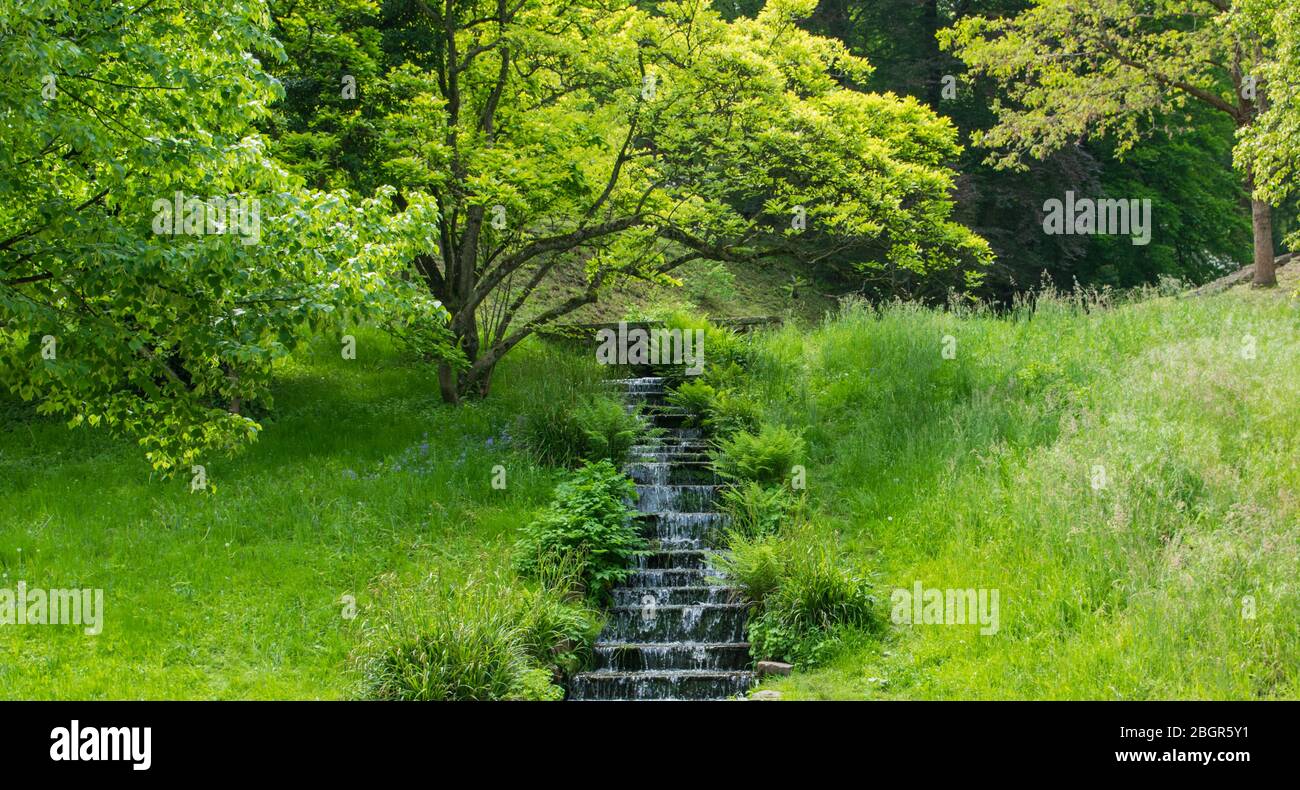 Waterfall in the summer park. Nature background. Falls with clean water ...