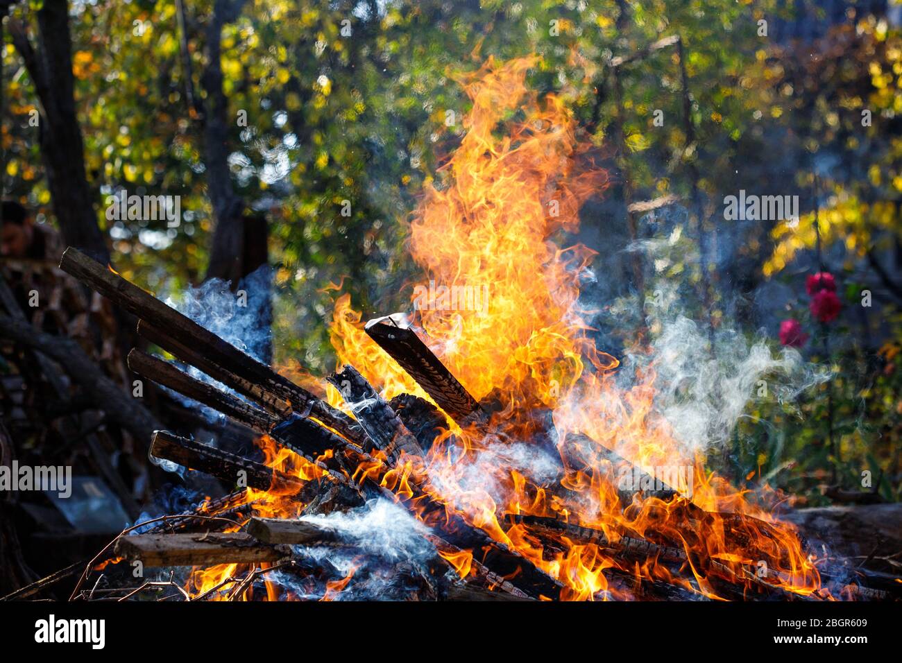 Big bonfire made of boards. Beautiful fire Stock Photo - Alamy