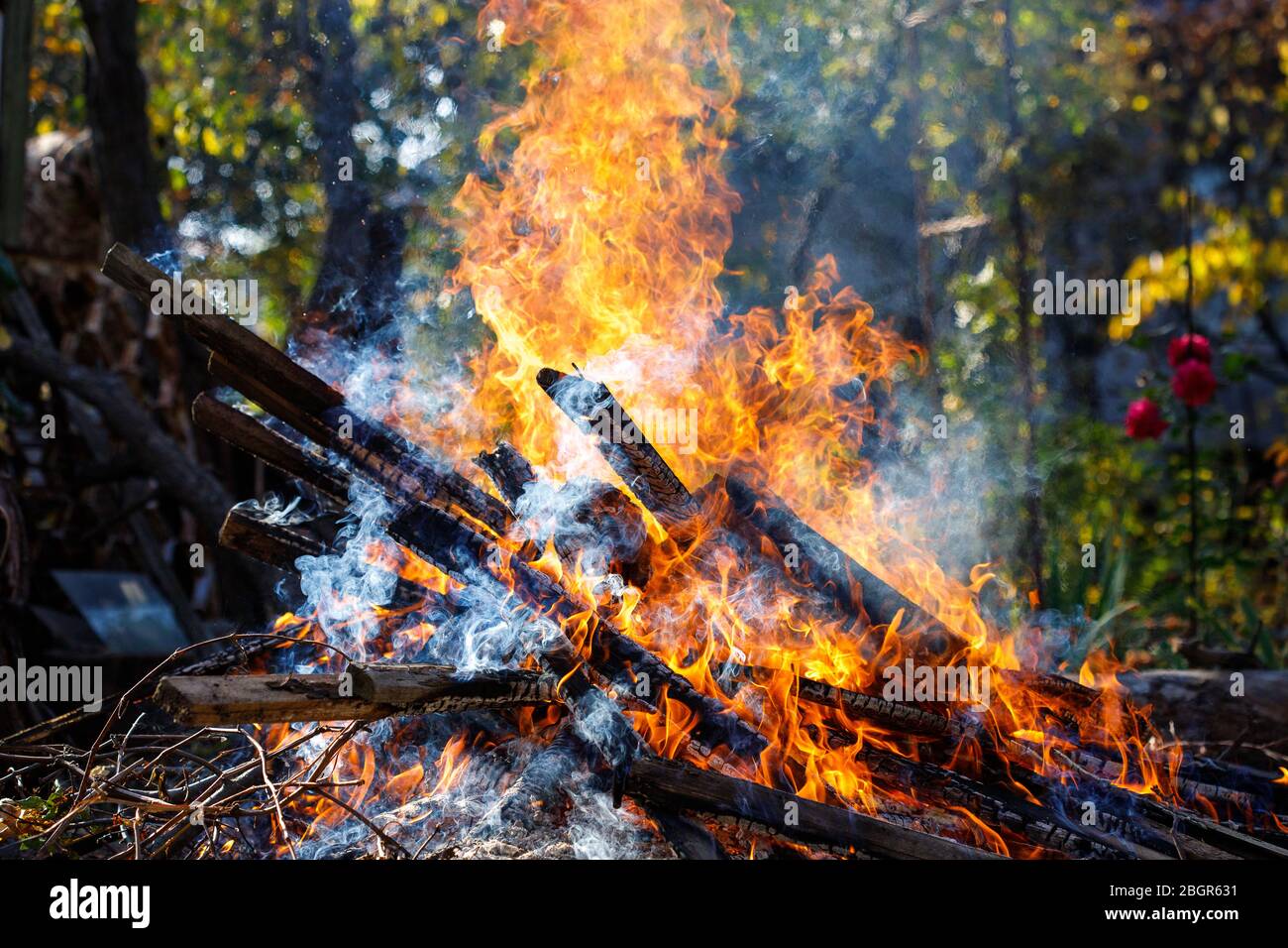 Big bonfire hi-res stock photography and images - Alamy
