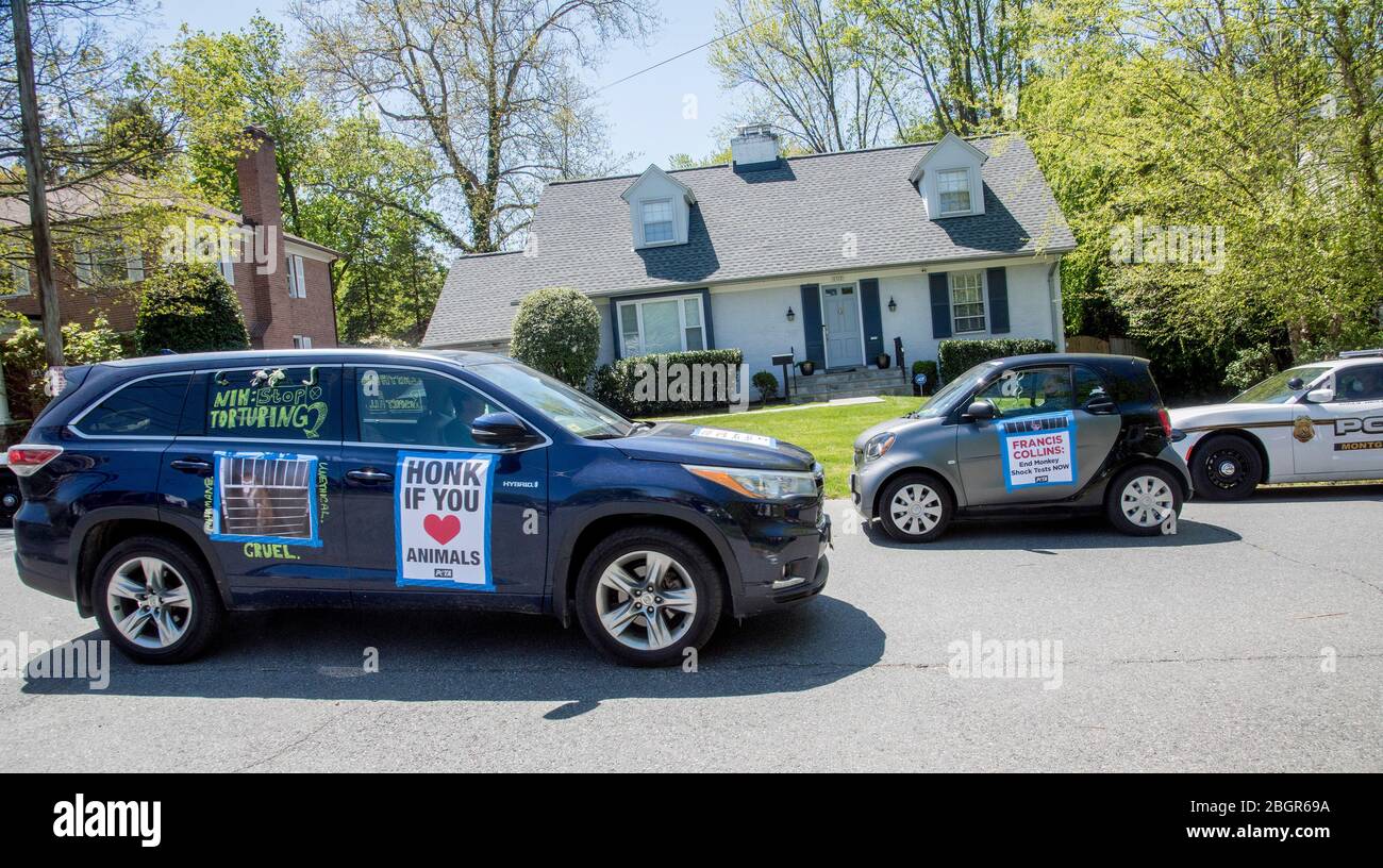 Peta protest animal experiments hi-res stock photography and images - Alamy