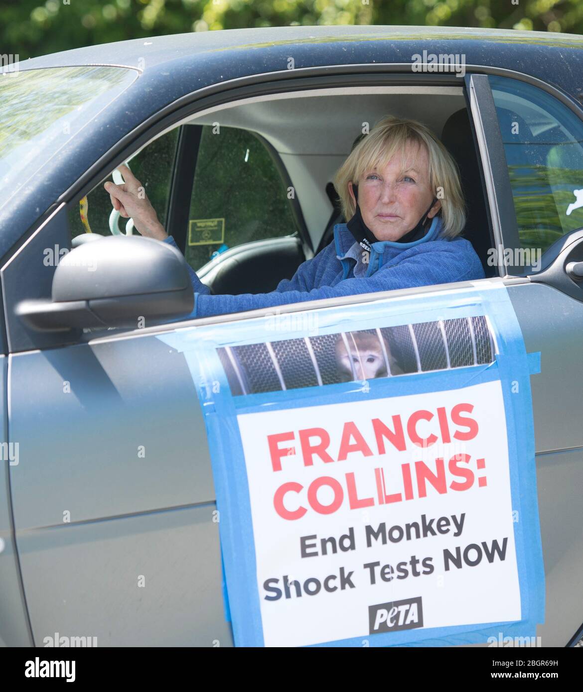 Bethesda, MD, April 22,2020 USA: Driving a car emblazoned with the ...