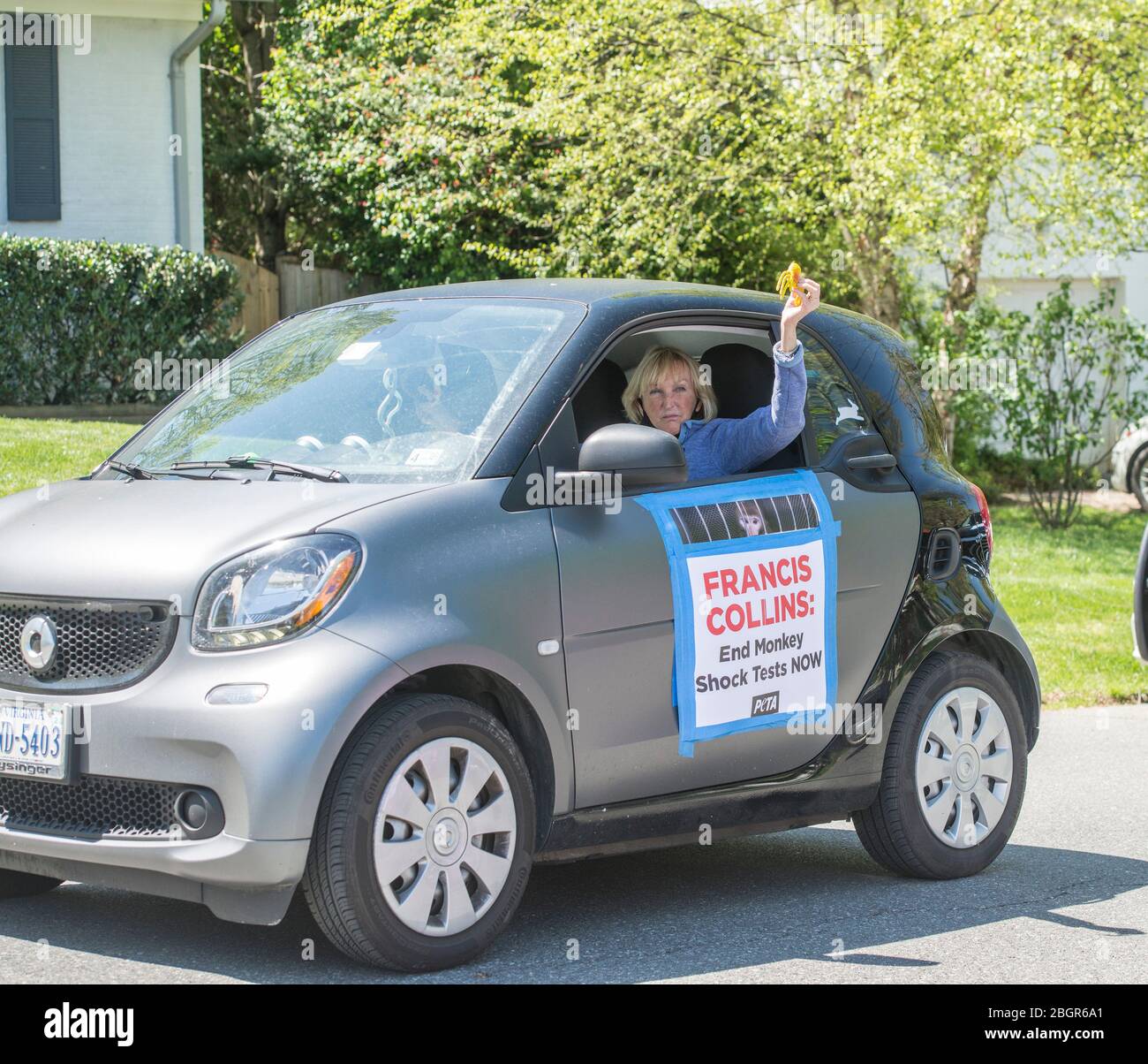 Bethesda, MD, April 22,2020 USA: PETA President, Ingrid Newkirk leads ...