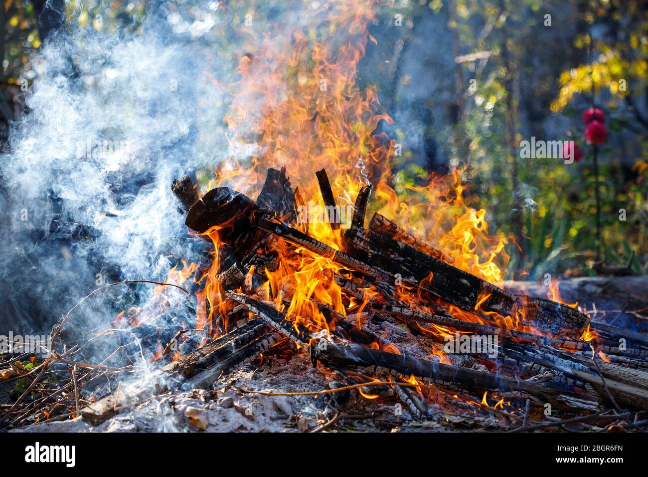 Beautiful bonfire hi-res stock photography and images - Alamy