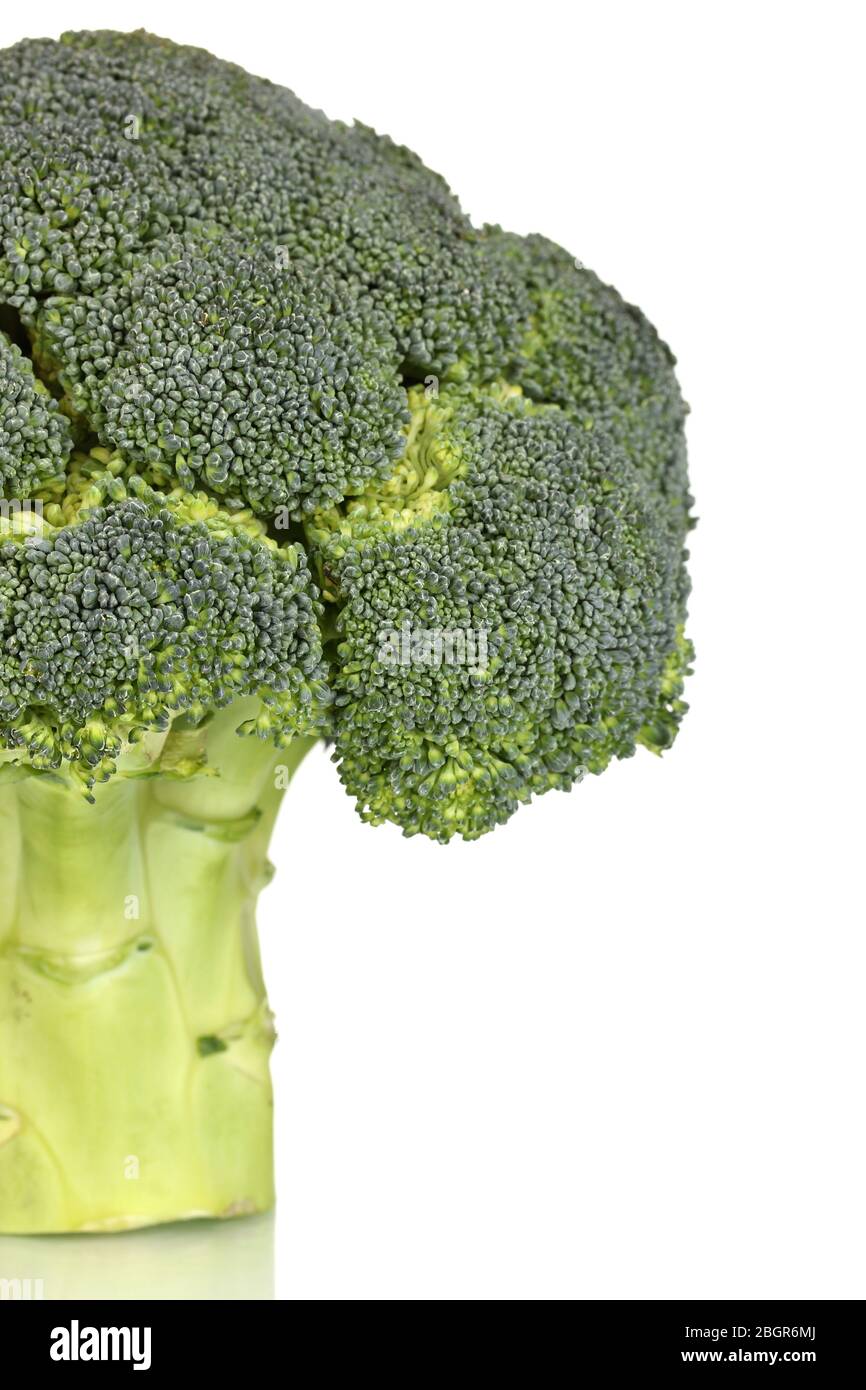 Fresh broccoli close-up isolated on white Stock Photo - Alamy