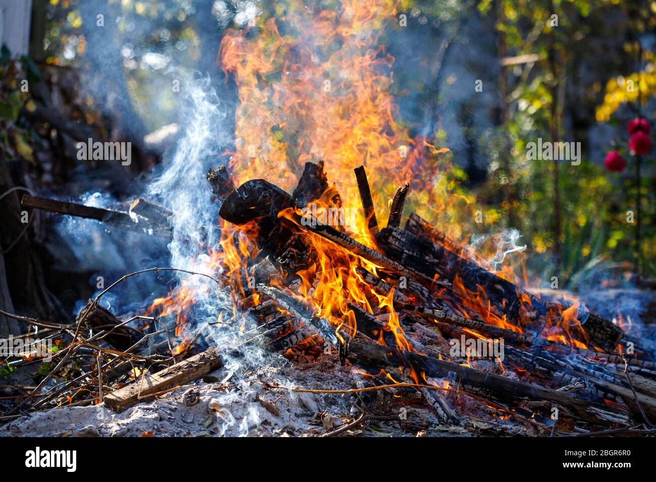 Big bonfire made of boards. Beautiful fire Stock Photo - Alamy