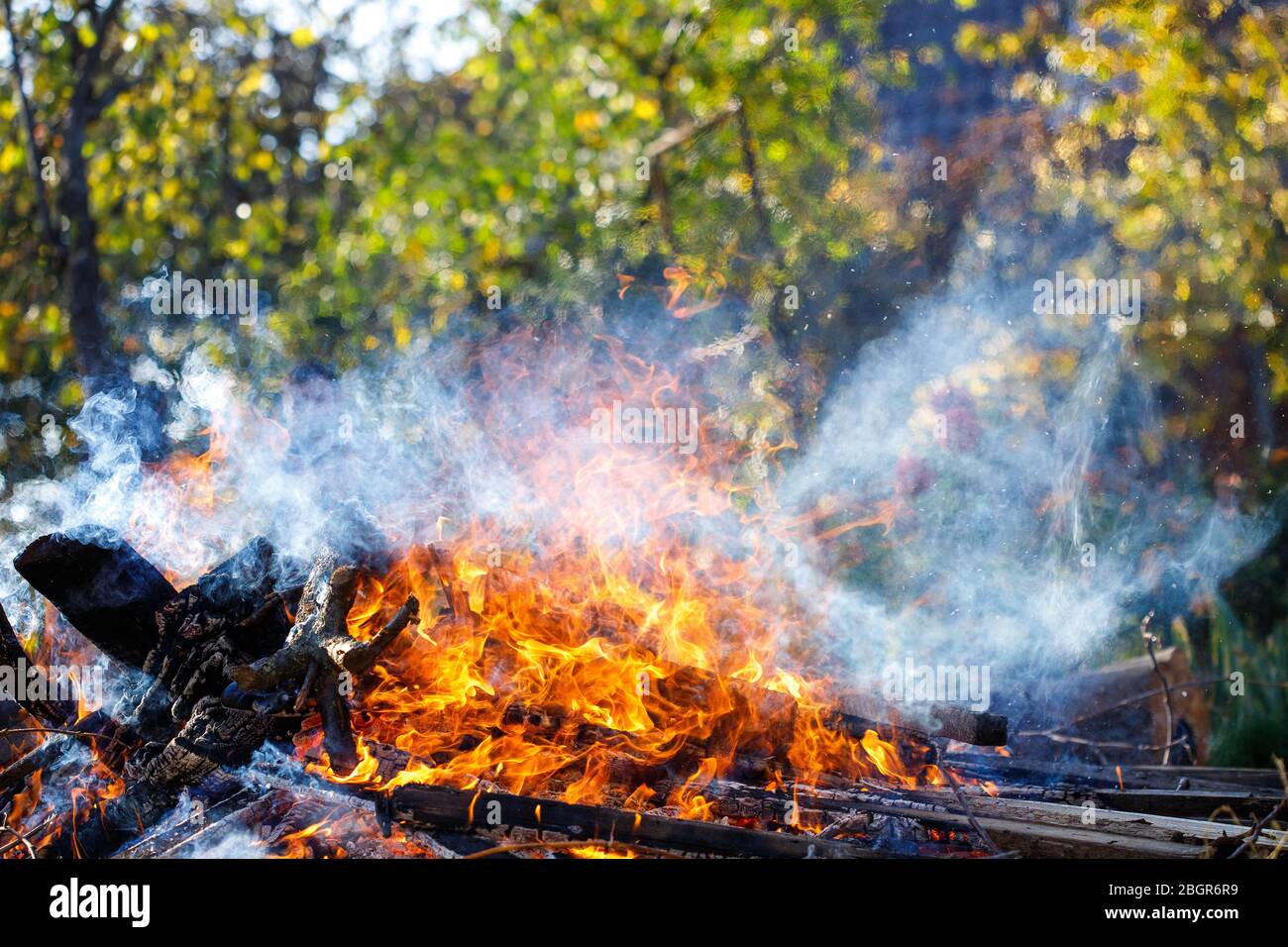 Large smoky bonfire in the garden Stock Photo - Alamy