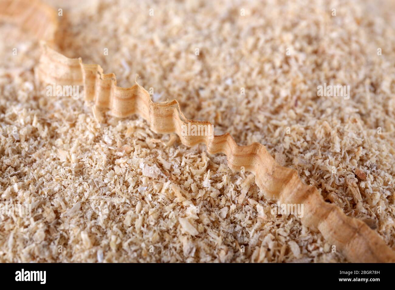 Wood shavings on sawdust closeup Stock Photo - Alamy