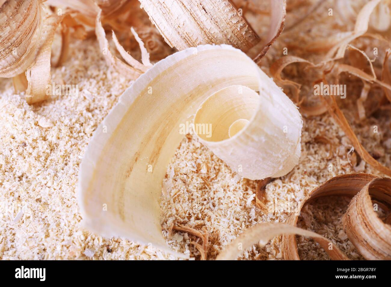 Wood shavings on sawdust closeup Stock Photo - Alamy