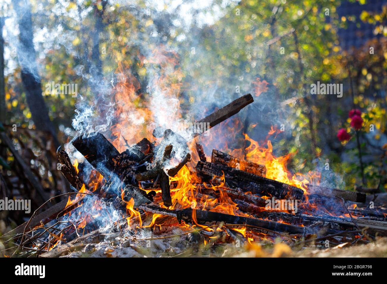 Large smoky bonfire in the garden Stock Photo - Alamy