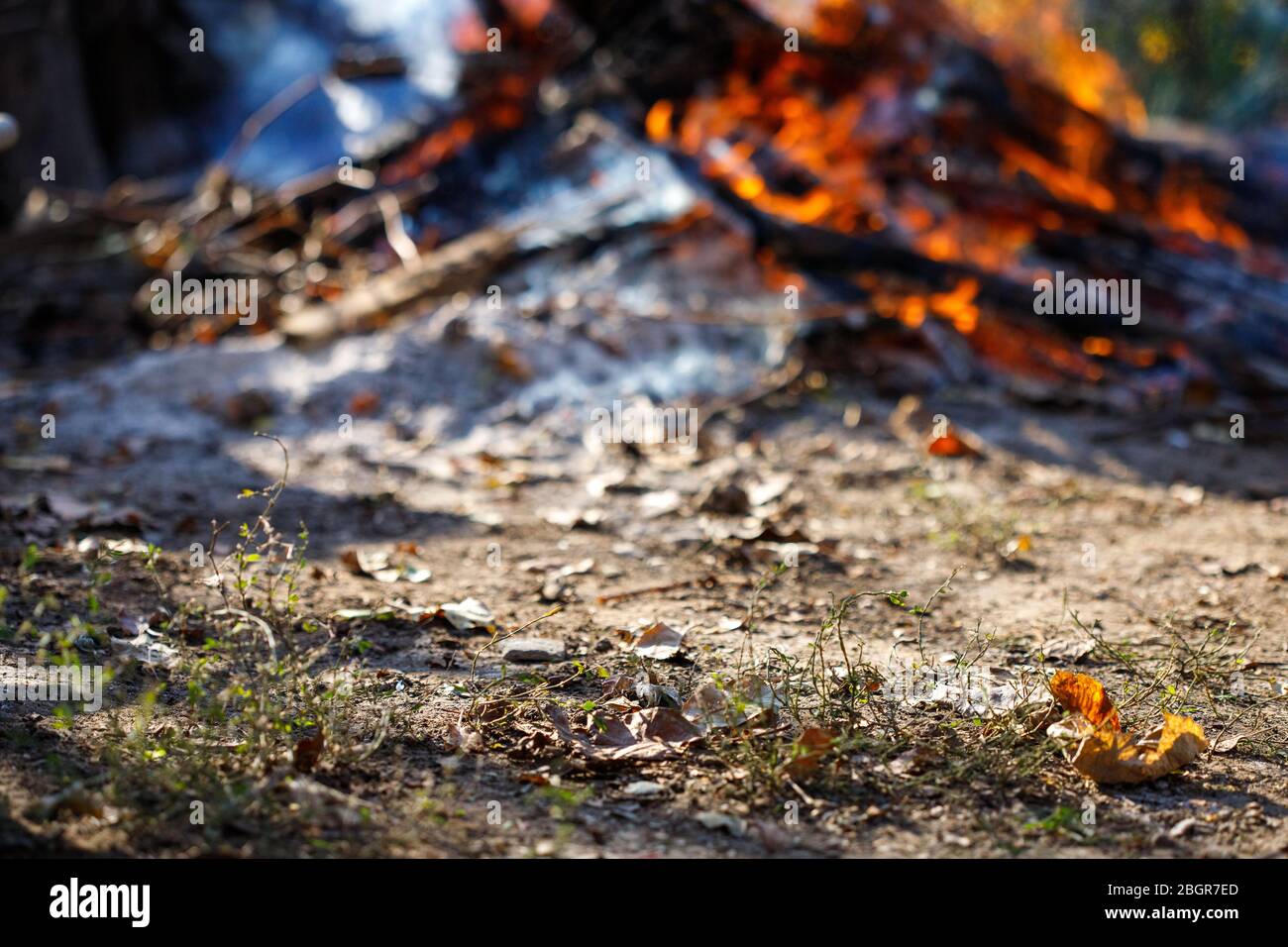 Campfire flame hi-res stock photography and images - Alamy