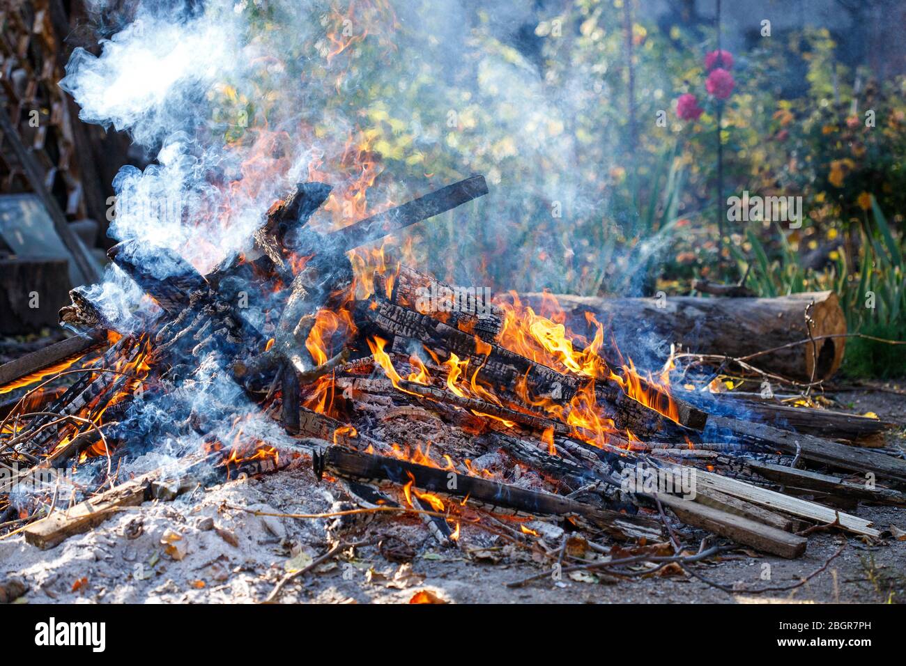 Large smoky bonfire in the garden Stock Photo - Alamy