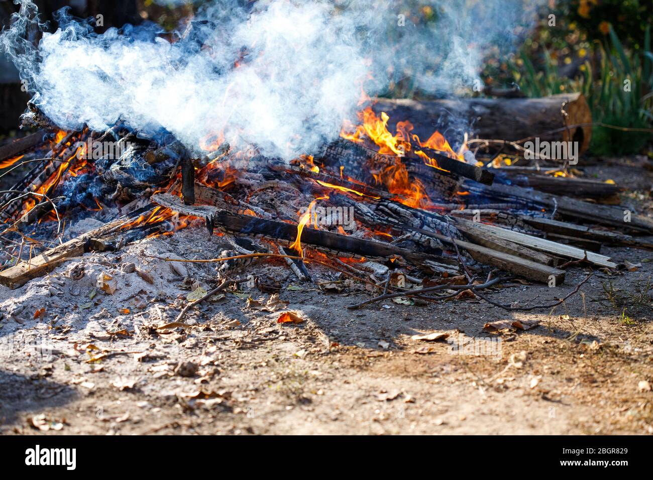 Large smoky bonfire in the garden Stock Photo - Alamy