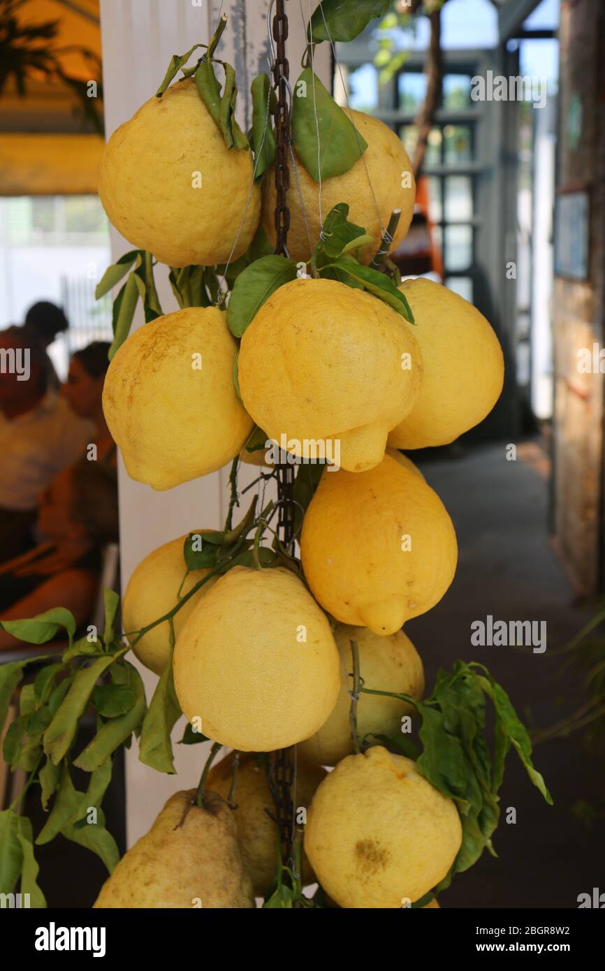 Lemons for sale hi-res stock photography and images - Alamy