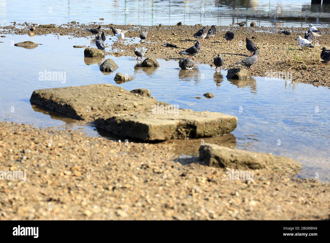 Nature background. Lake beach Stock Photo - Alamy
