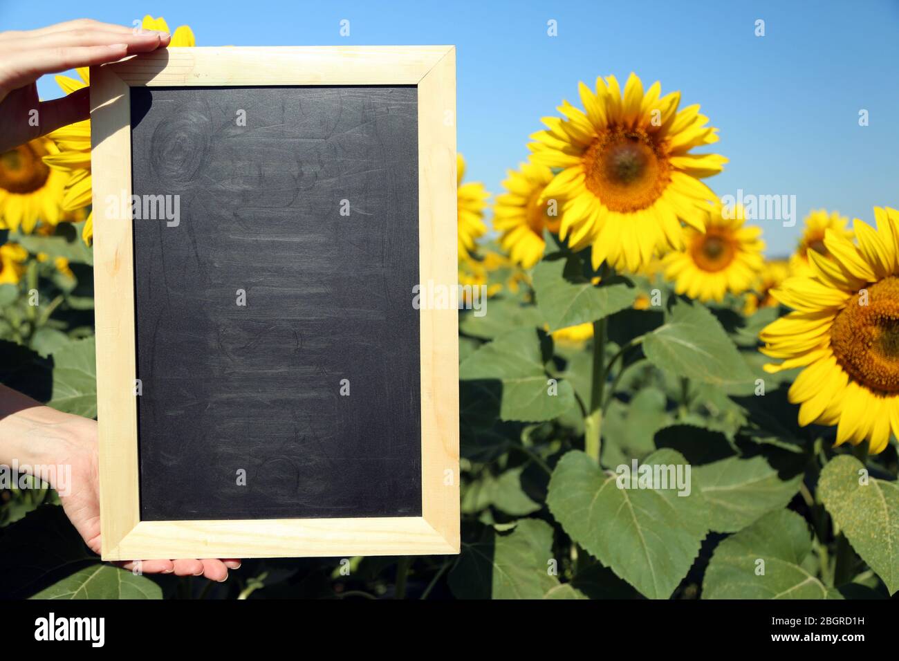 Blackboard blank in hands hi-res stock photography and images - Alamy