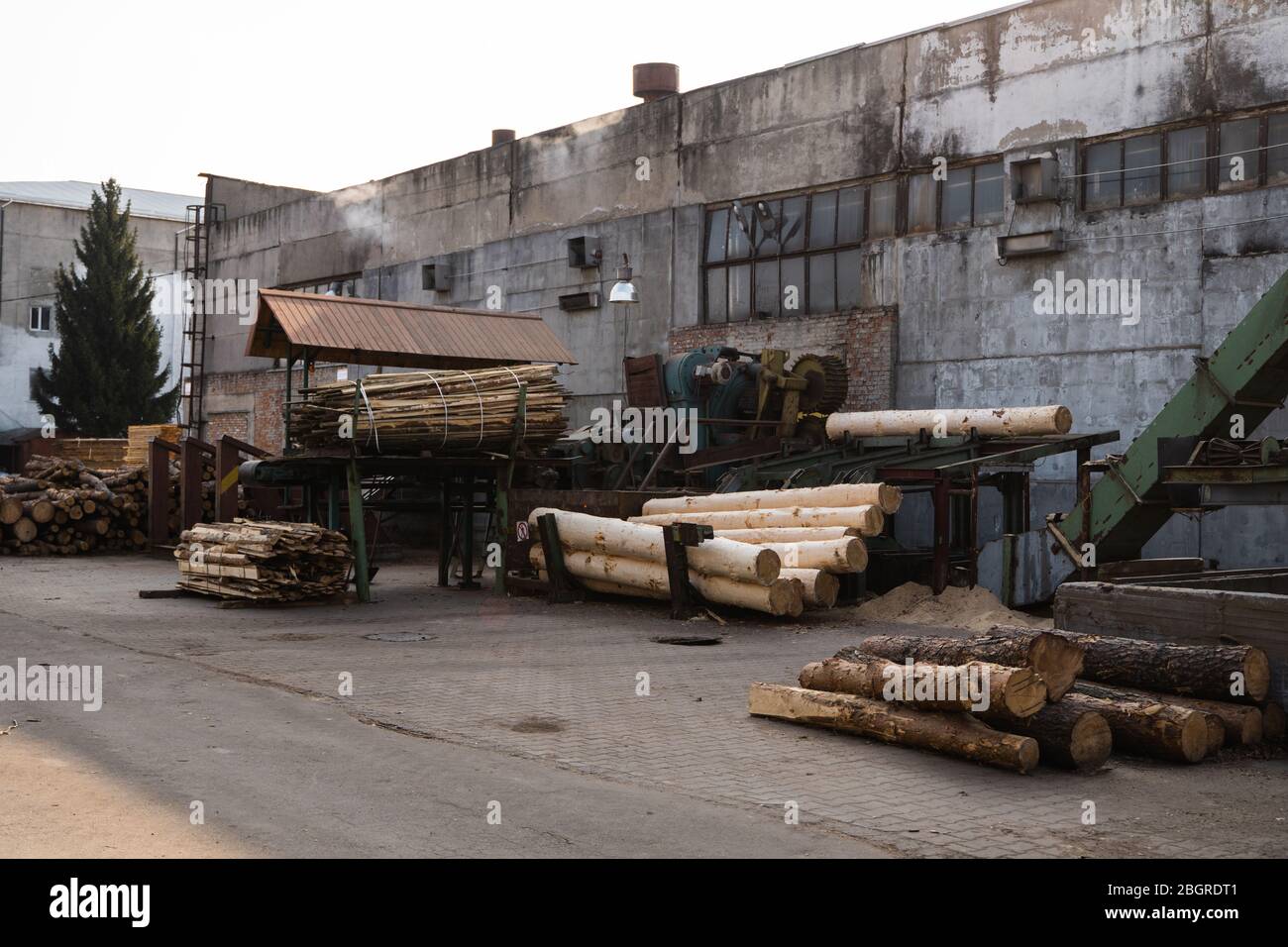 Bark removal from large logs on sawmill. Preparation of the wooden logs ...